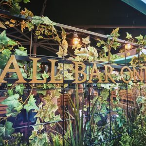 BOX - Brindleyplace, Birmingham