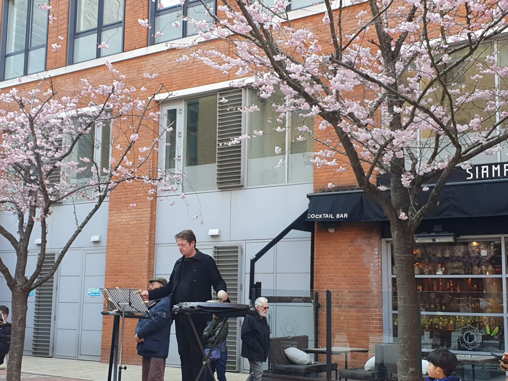 BCMG Cherry Blossom Concert - Brindleyplace, Birmingham